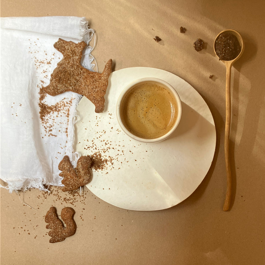 Spout Coffee Company