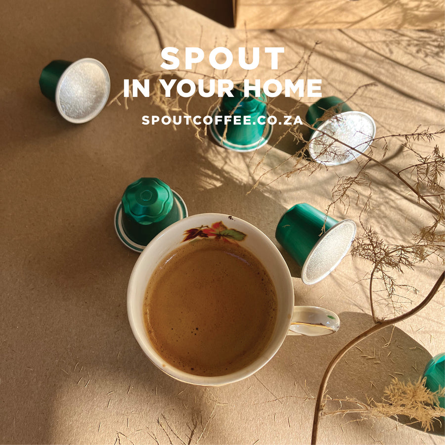 Spout Coffee Company