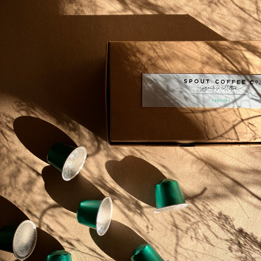 Spout Coffee Company